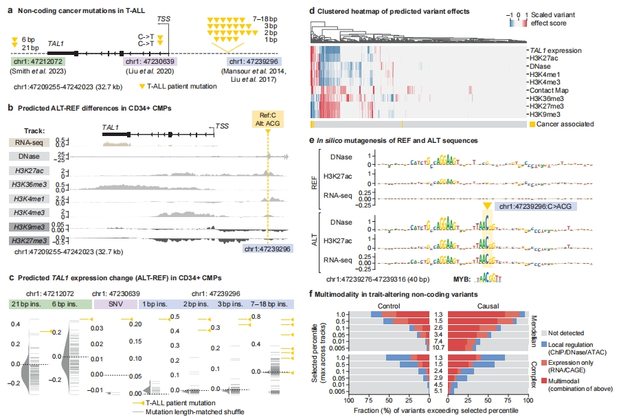 从DNA序列预测基因调控！DeepMind推出AlphaGenome模型，可分析100万个DNA碱基对-CSDN博客