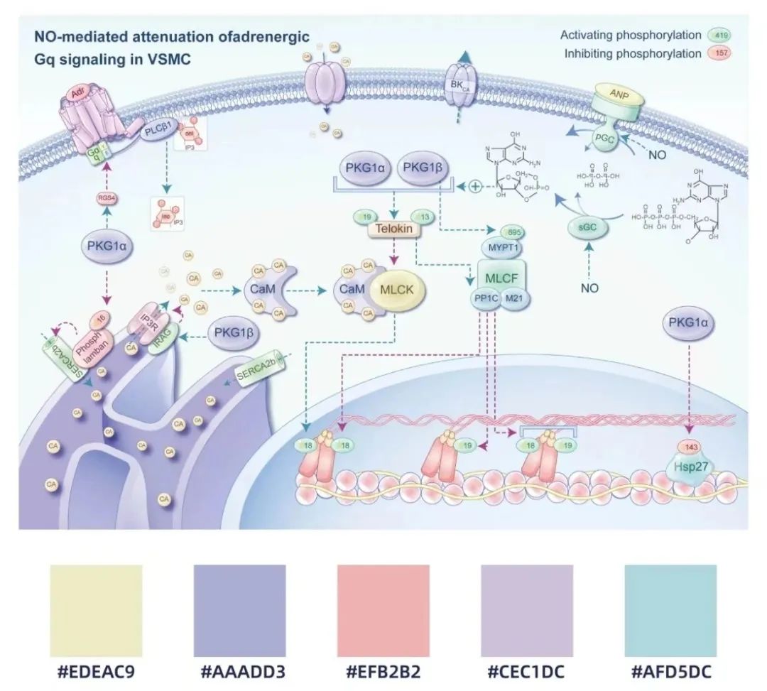 马上收藏！顶刊科研绘图高级配色卡（附颜色代码）_科研配色-CSDN博客