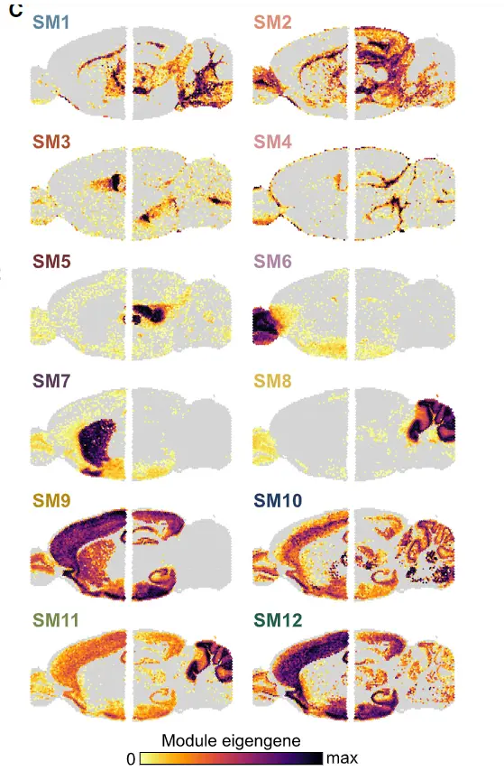 分析总结----WGCNA（scWGCNA & hdWGNCA）在单细胞空间数据分析中的运用-CSDN博客
