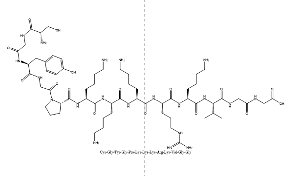 Cys-Gly-Tyr-Gly-Pro-Lys-Lys-Lys-Arg-Lys-Val-Gly-Gly ；104914-40-1-CSDN博客