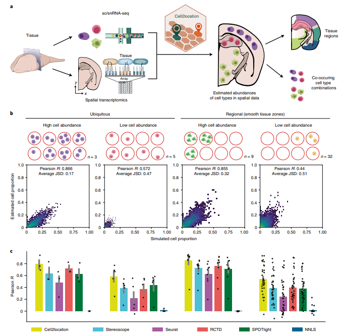 《NBT》| Cell2location注释空间数据细胞_cell2location解卷积多样本怎么做-CSDN博客