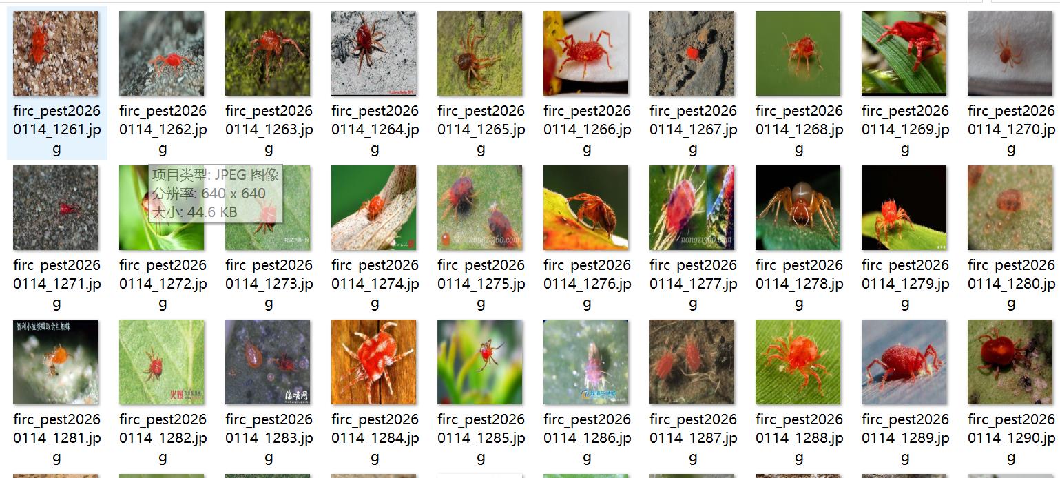 农业田间害虫检测数据集VOC+YOLO格式2968张16类别-CSDN博客