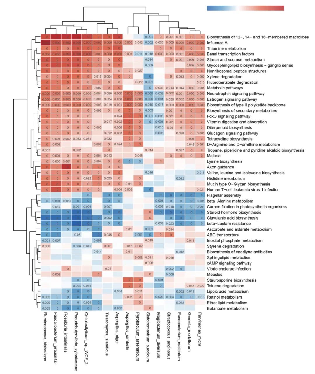 MicrobiomeStatPlots | 分层关联分析Halla analysis-CSDN博客