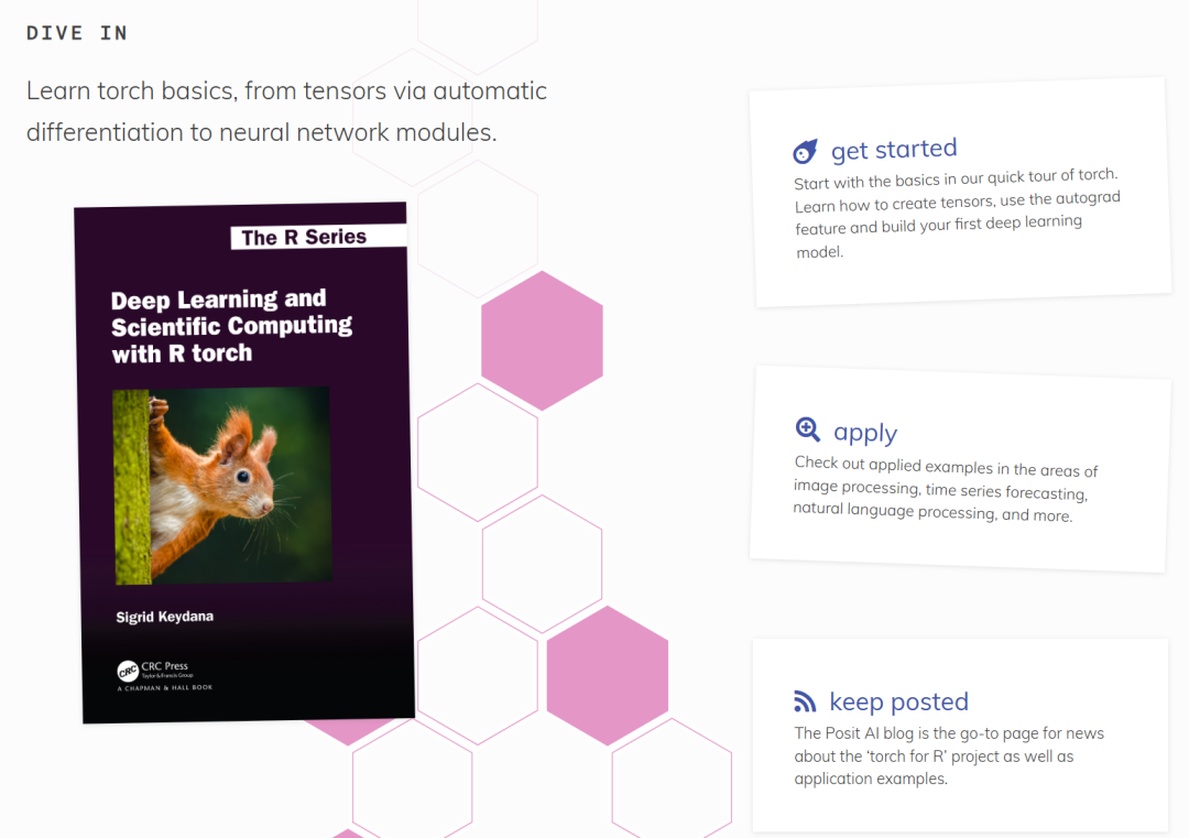 这个 R 包厉害了！可以在 R 语言构建多种神经网络模型，连图像分割这种复杂任务也可以完成（Rtorch教程示例）_torch r包-CSDN博客