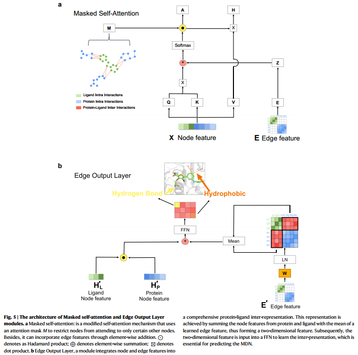 Interformer：蛋白质-配体对接和亲和力预测的相互作用感知模型-CSDN博客