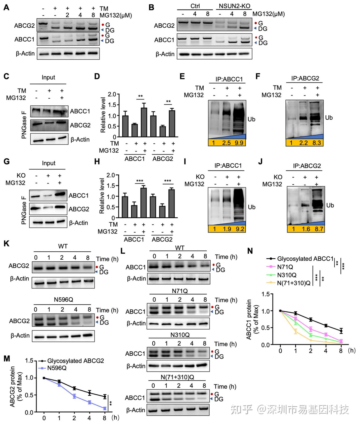 易基因：天津医科大郑向前团队MeRIP-seq等揭示m5C修饰在癌症耐药中的关键调控机制：Theranostics/IF12.4_被敲除基因 ...