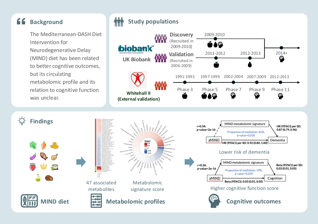 iMetaOmics | 浙大袁长征组-解析MIND膳食模式的代谢组学特征及其与认知健康的关联...-CSDN博客