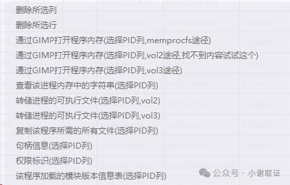 Lovelymem一把梭2024年美亚杯内存取证（Lovelymem软件使用详细步骤+软件+检材链接）-CSDN博客