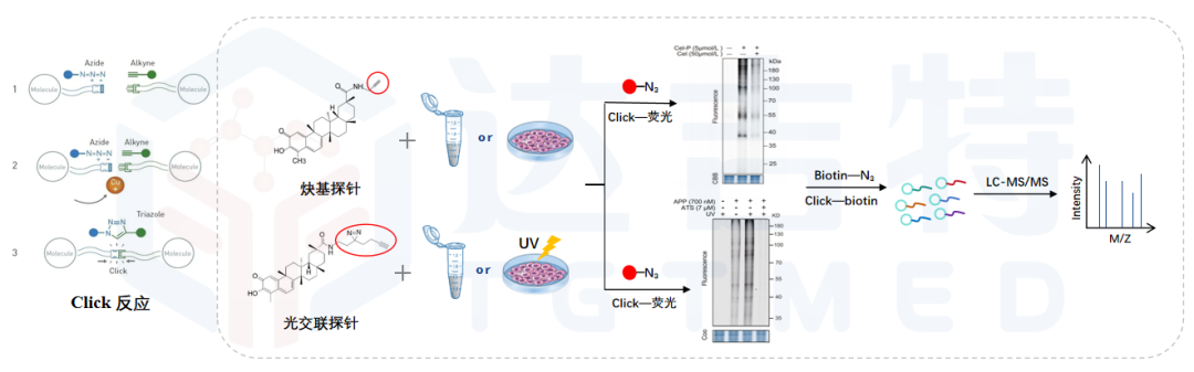 达吉特丨3篇Cell，2篇Nature，1篇Science： isoTOP-ABPP凭实力成为最易登上CNS的钓靶技术_abpp竞争质谱技术-CSDN博客