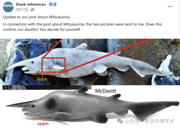 审稿人真好骗！登上SCI的新物种，竟被扒出只是塑料玩具！此外还有咖啡豆蜘蛛、猫咪作者？-CSDN博客