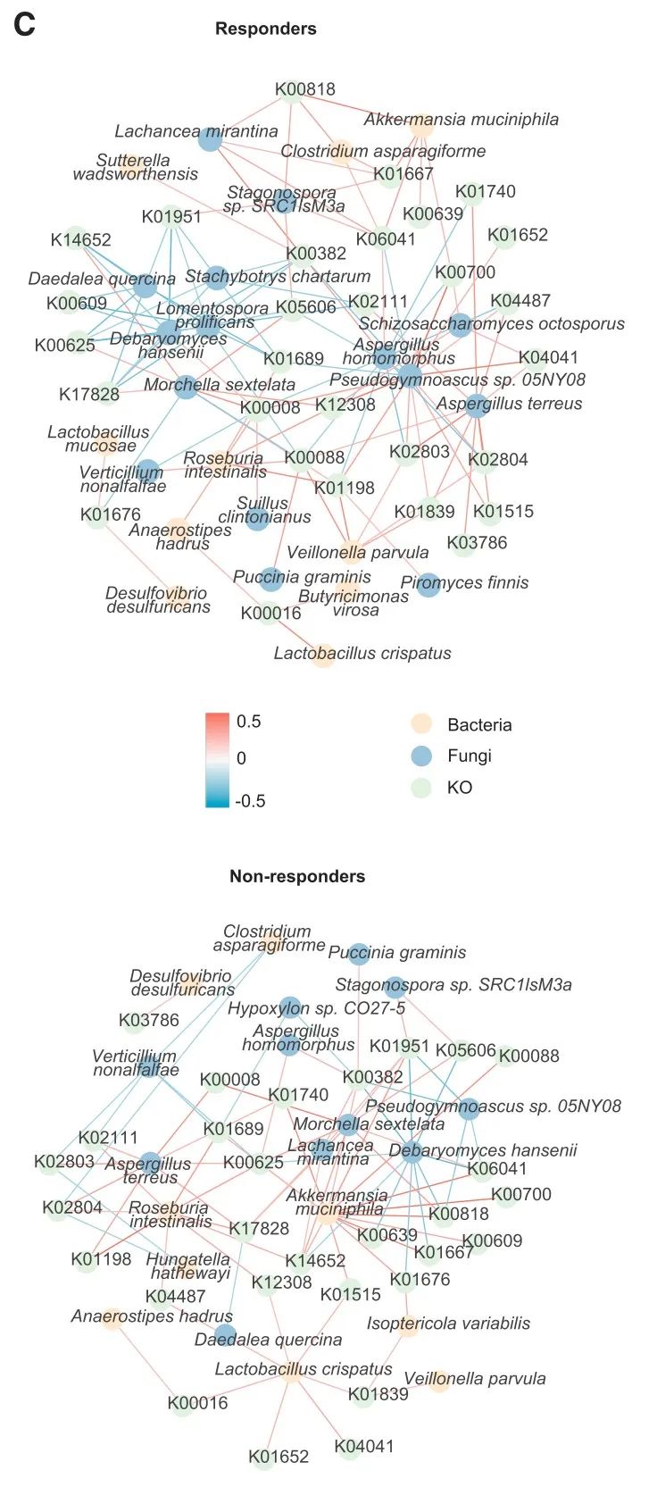 MicrobiomeStatPlot | 物种和基因Spearman相关网络分析-CSDN博客