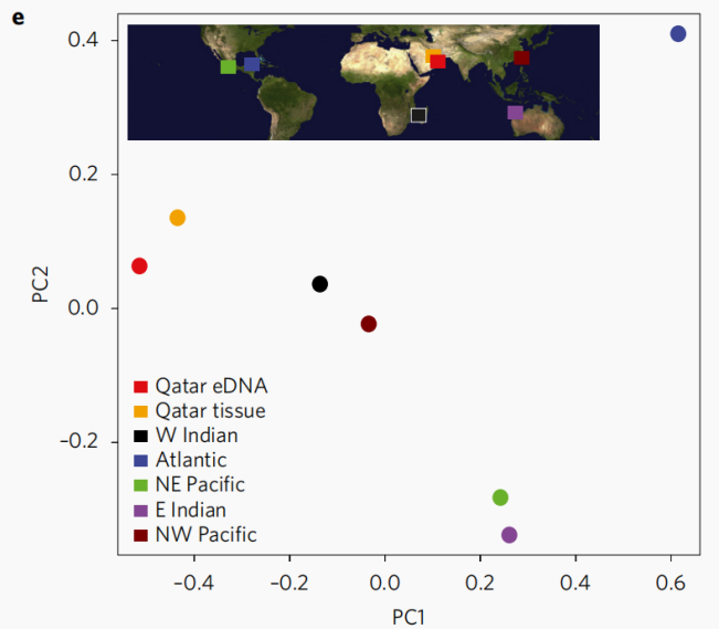 eDNA数据如何分析物种遗传多样性？-CSDN博客