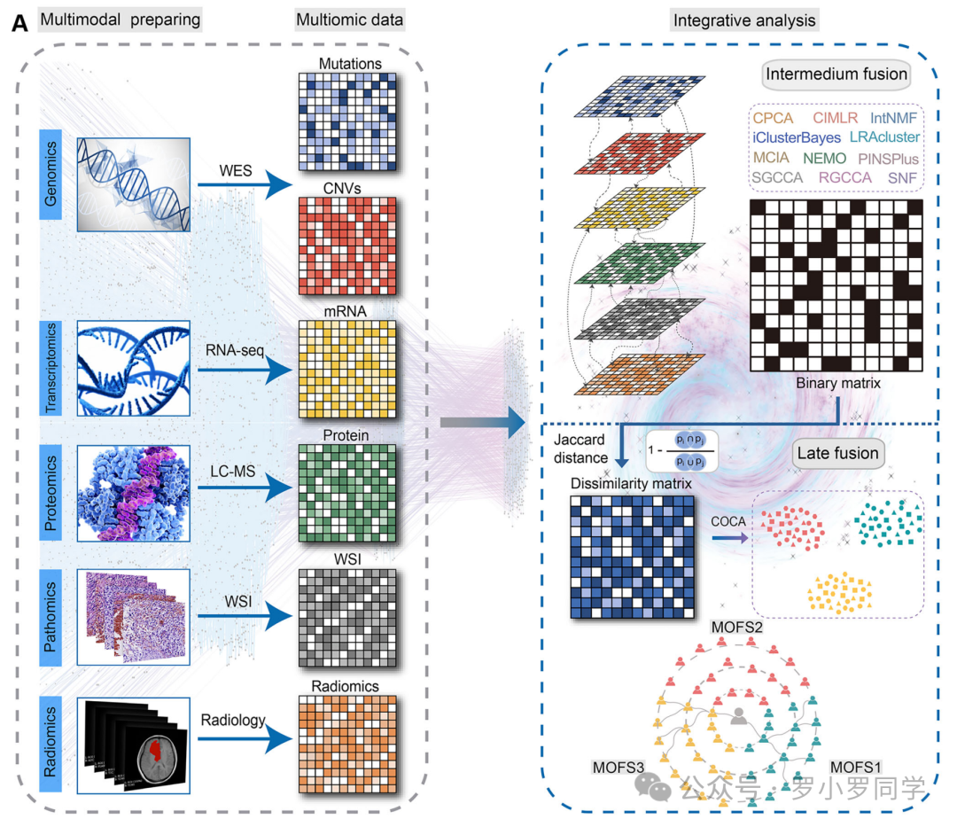 【AI大模型】Nature子刊重磅：医学AI多模态融合亚型框架，放射、病理、基因组学数据完美融合！_过去7天的多模态融合特征(每天48个时间片 ...