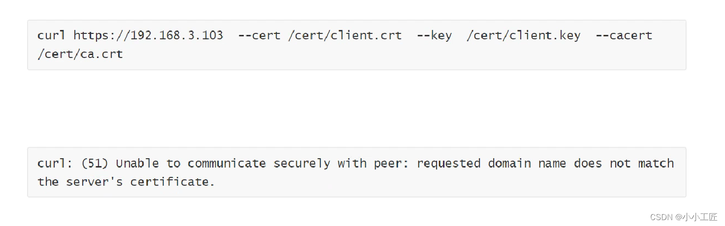 PKI - 借助Nginx实现_客户端使用CA根证书签发客户端证书-CSDN博客