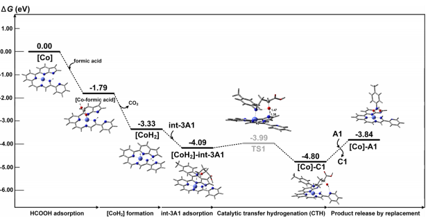 钴催化！华南理工大学张珉，新发JACS！_钴氢催化烯烃coh-CSDN博客
