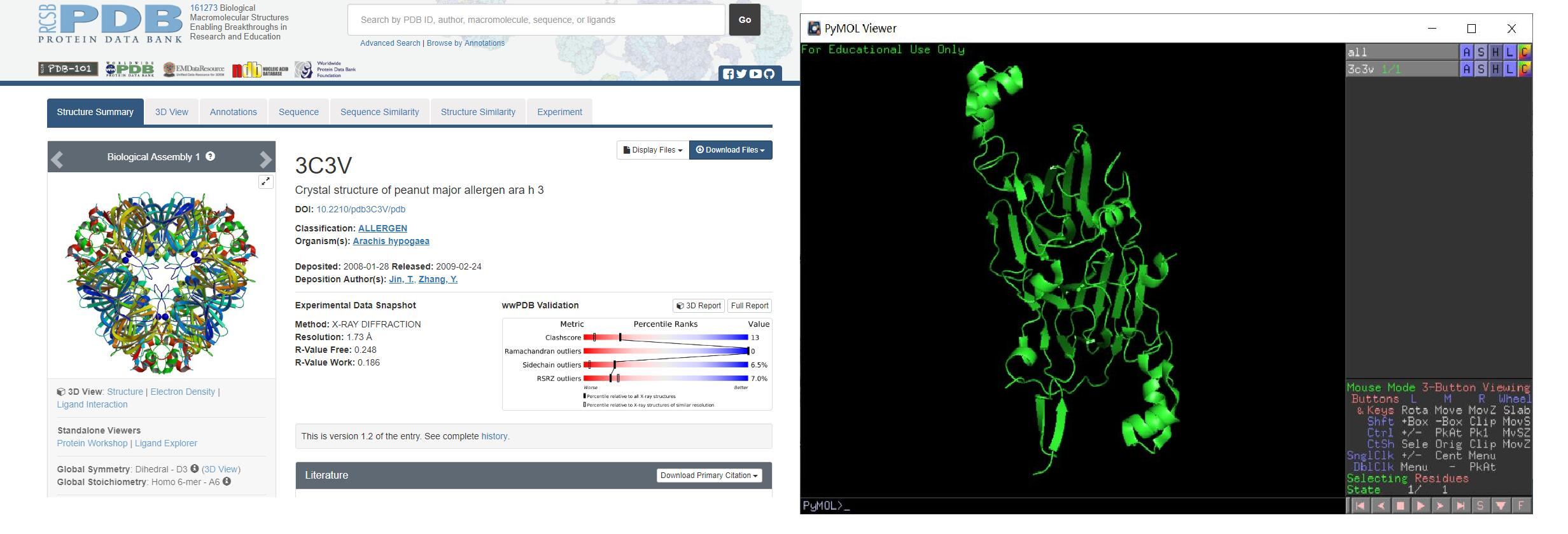pymol-FAQs-5：_pymol怎么显示氨基酸的名字-CSDN博客