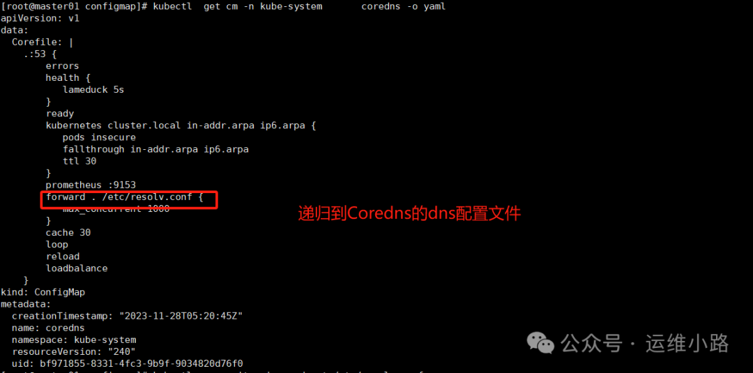 Kubernetesk8s Coredns介绍一 Csdn博客 