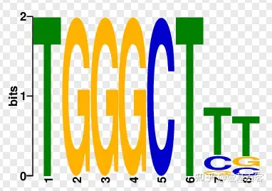 如何进行Motif预测分析和解读？MEME和HOMER全解析_meme motif-CSDN博客