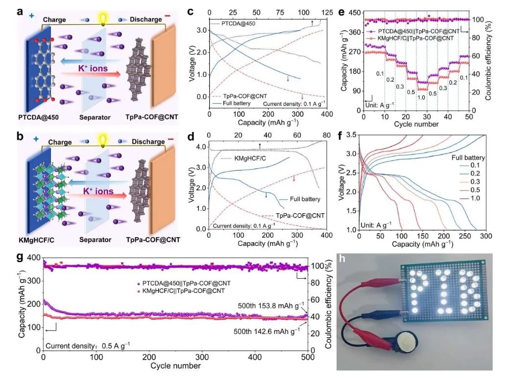 2000次循环！港城大&南师大，新发Angew！-CSDN博客