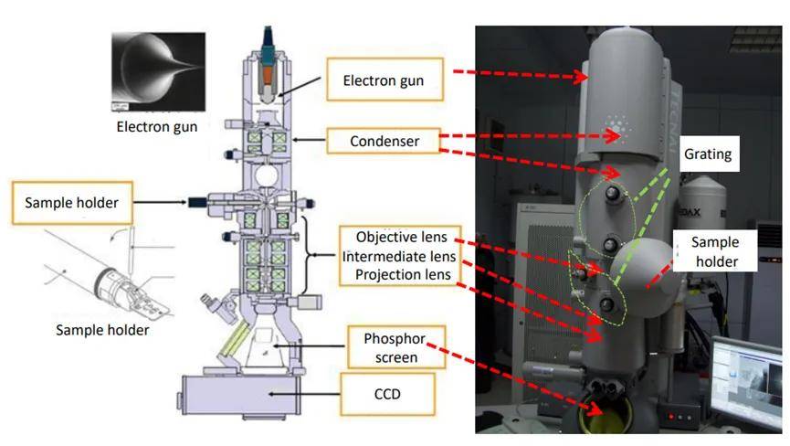 透射电子显微镜（TEM）：原理及构成 -CSDN博客