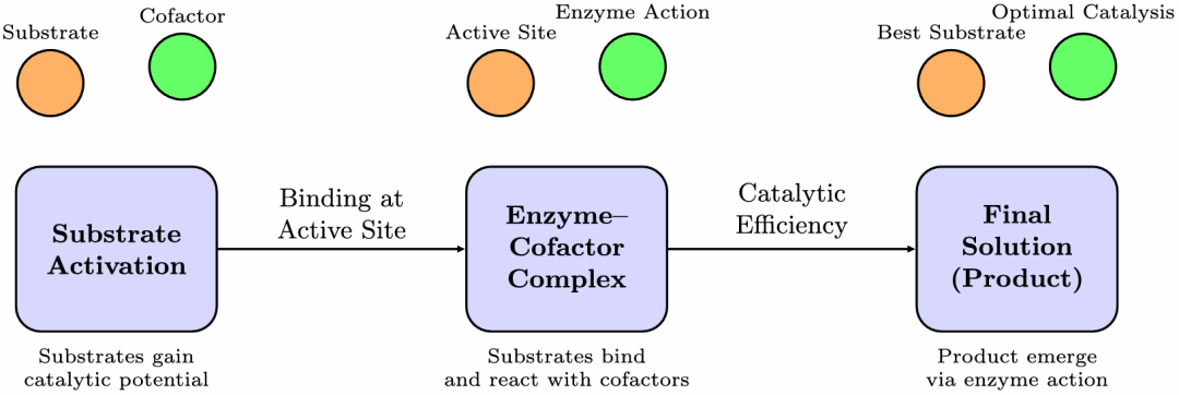 酶作用优化算法(EAO)-2025年4月SCI新算法-公式原理详解与性能测评 Matlab代码免费获取