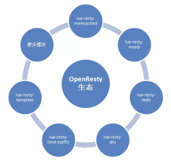 Nginx+Redis 高性能缓存技术利器_nginx redis-CSDN博客