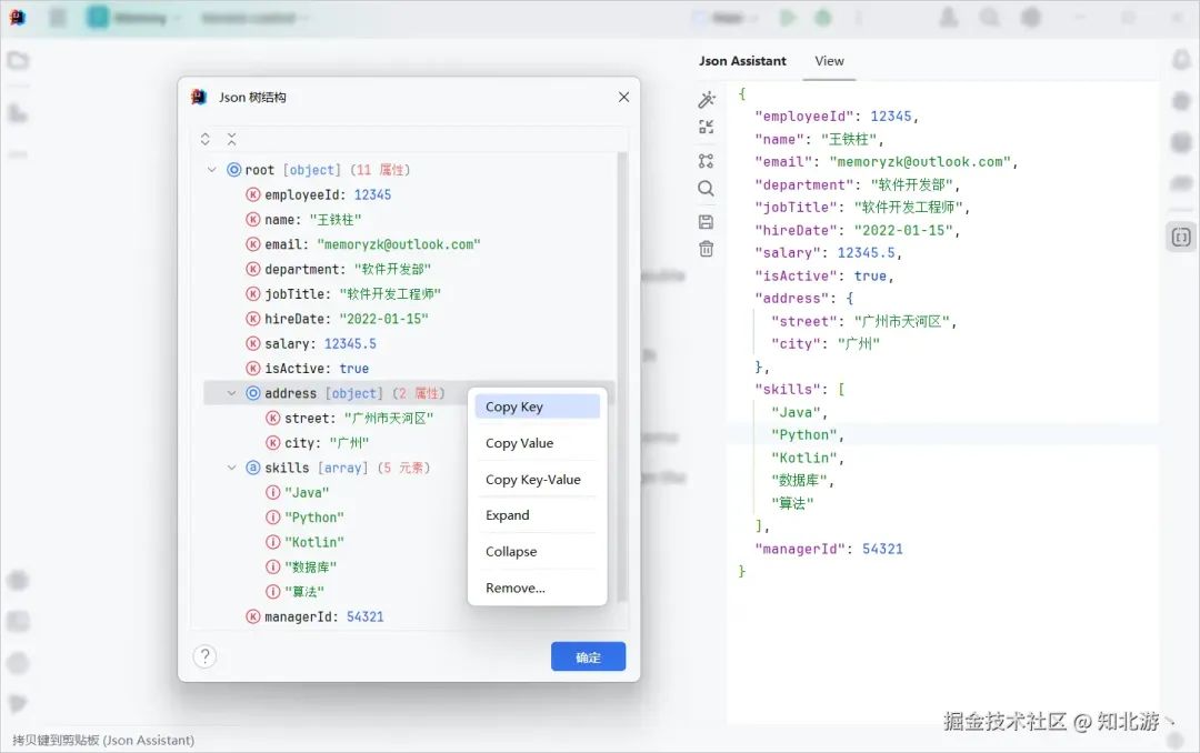 一款必备的 Idea 神级插件，轻松搞定繁杂的 Json 格式化 Csdn博客