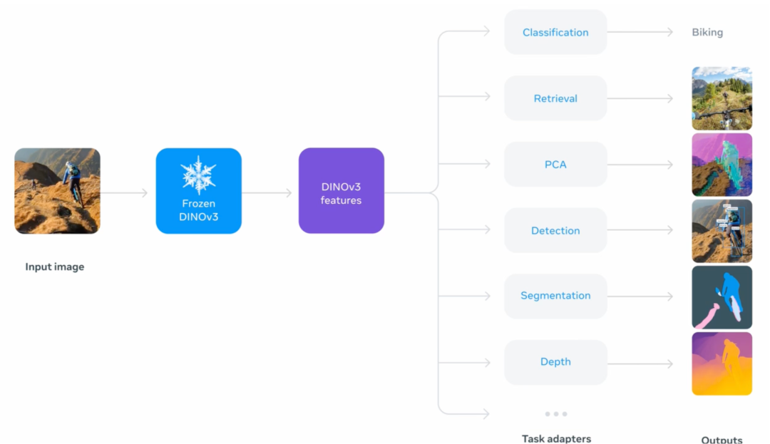极市平台 | Meta视觉基座DINOv3王者归来：自监督首次全面超越弱监督，商用开源_人工智能_双木的木-DAMO开发者矩阵