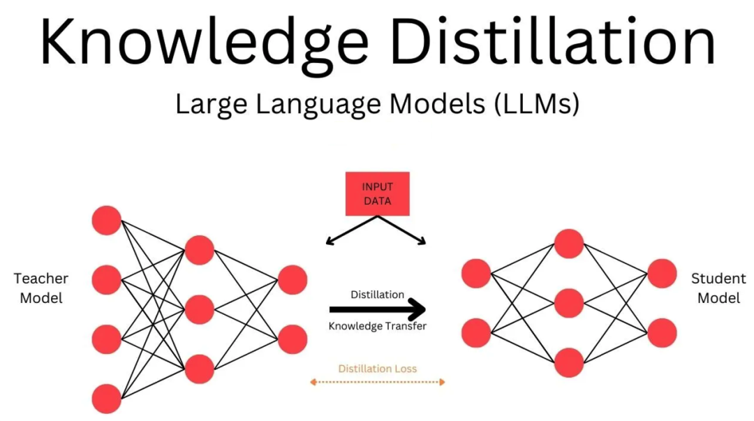 大模型入门指南 - Distillation：小白也能看懂的“模型蒸馏”全解析_大模型数据蒸馏技术-CSDN博客