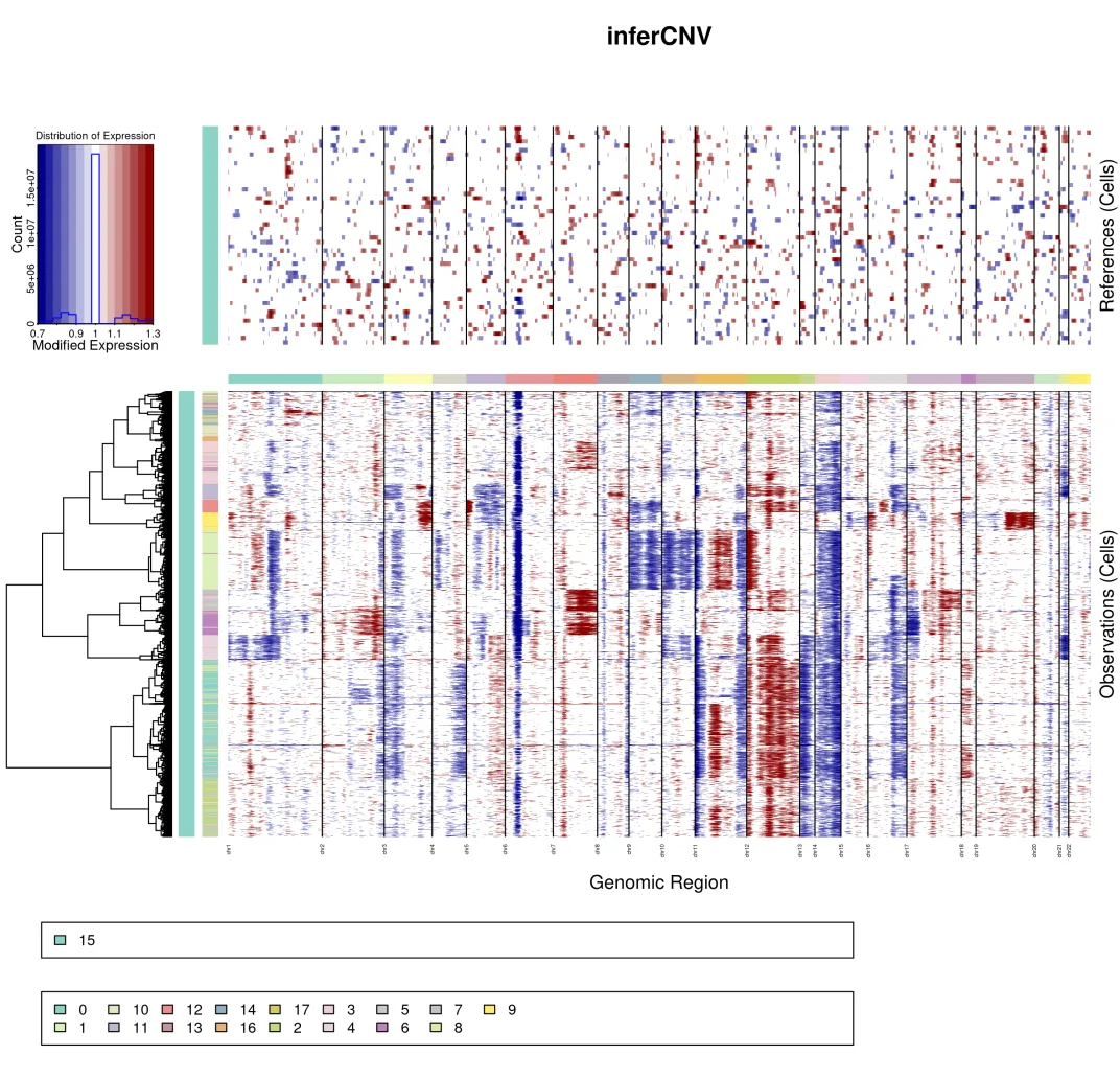 单细胞实战之inferCNV——入门到进阶(中级篇3）-CSDN博客