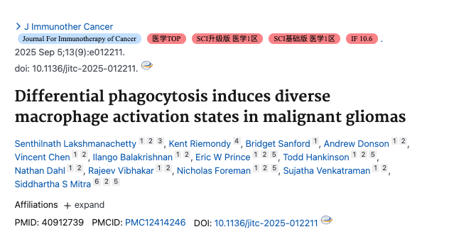 J Immunother Cancer｜单细胞解析揭示恶性胶质瘤中吞噬作用驱动的巨噬细胞活化状态异质性并提示免疫重编程新策略_sb-28细胞 ...