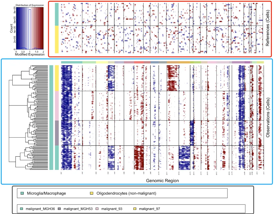 单细胞实战之inferCNV——入门到进阶(中级篇3）-CSDN博客