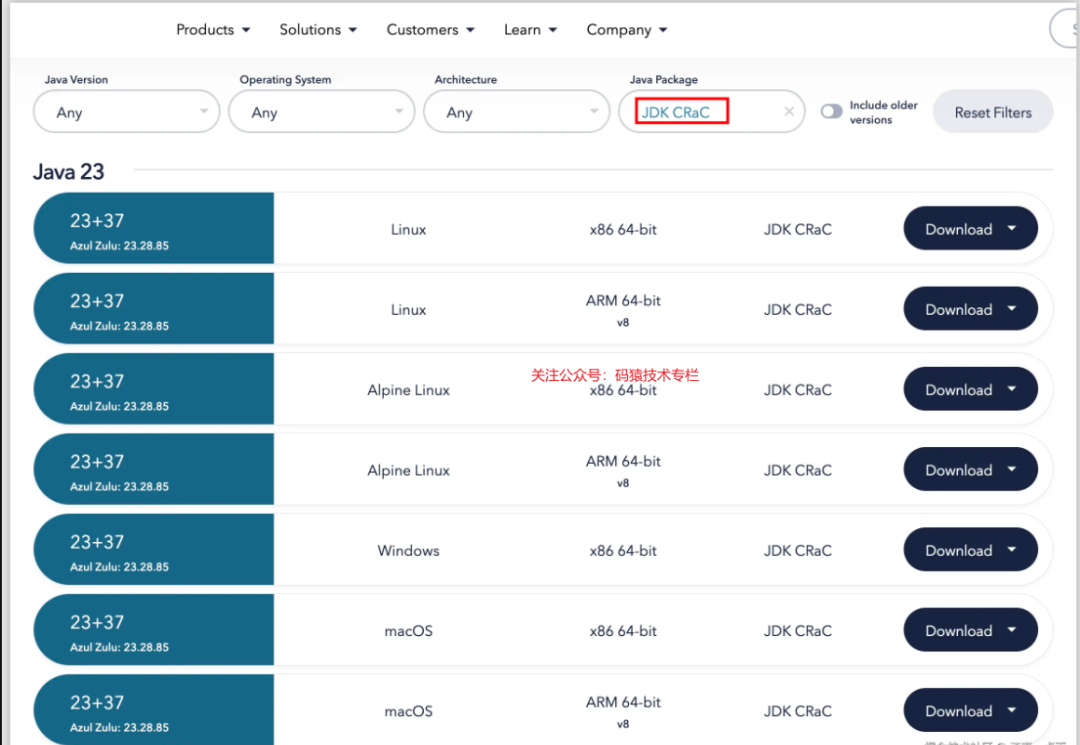 Spring Boot + CRaC 启动速度提升了10倍！_jdk crac-CSDN博客