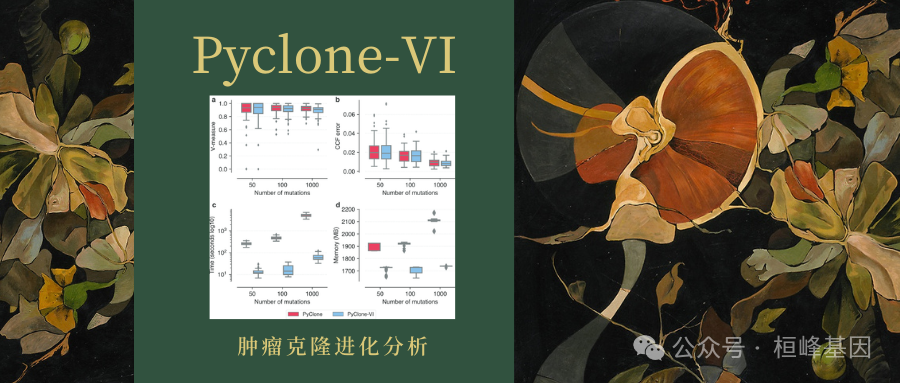 Clone 9.基于贝叶斯统计方法推断癌症的克隆群体结构(PyClone-VI)-CSDN博客