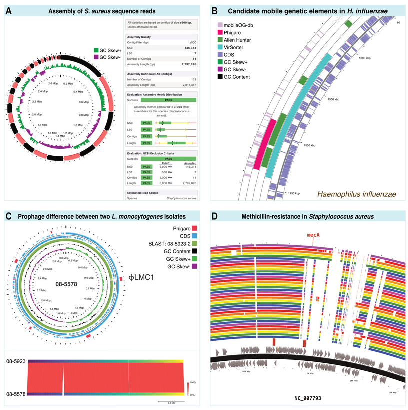 Proksee - 单菌基因组圈图工具-1-CSDN博客