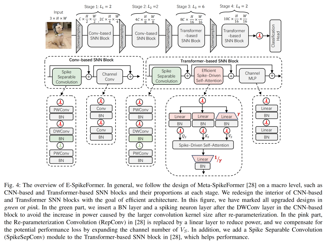 TPAMI 2025 | 基于高效脉冲发放近似训练的脉冲驱动 Transformer 扩展方法_scaling spike-driven transformer with efficient ...