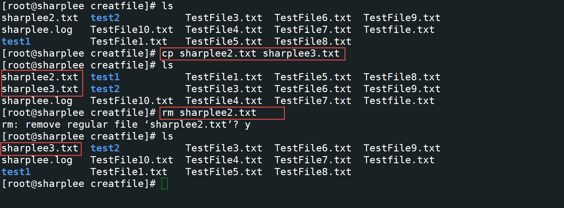 HoRain云--Linux中如何重命名文件-CSDN博客