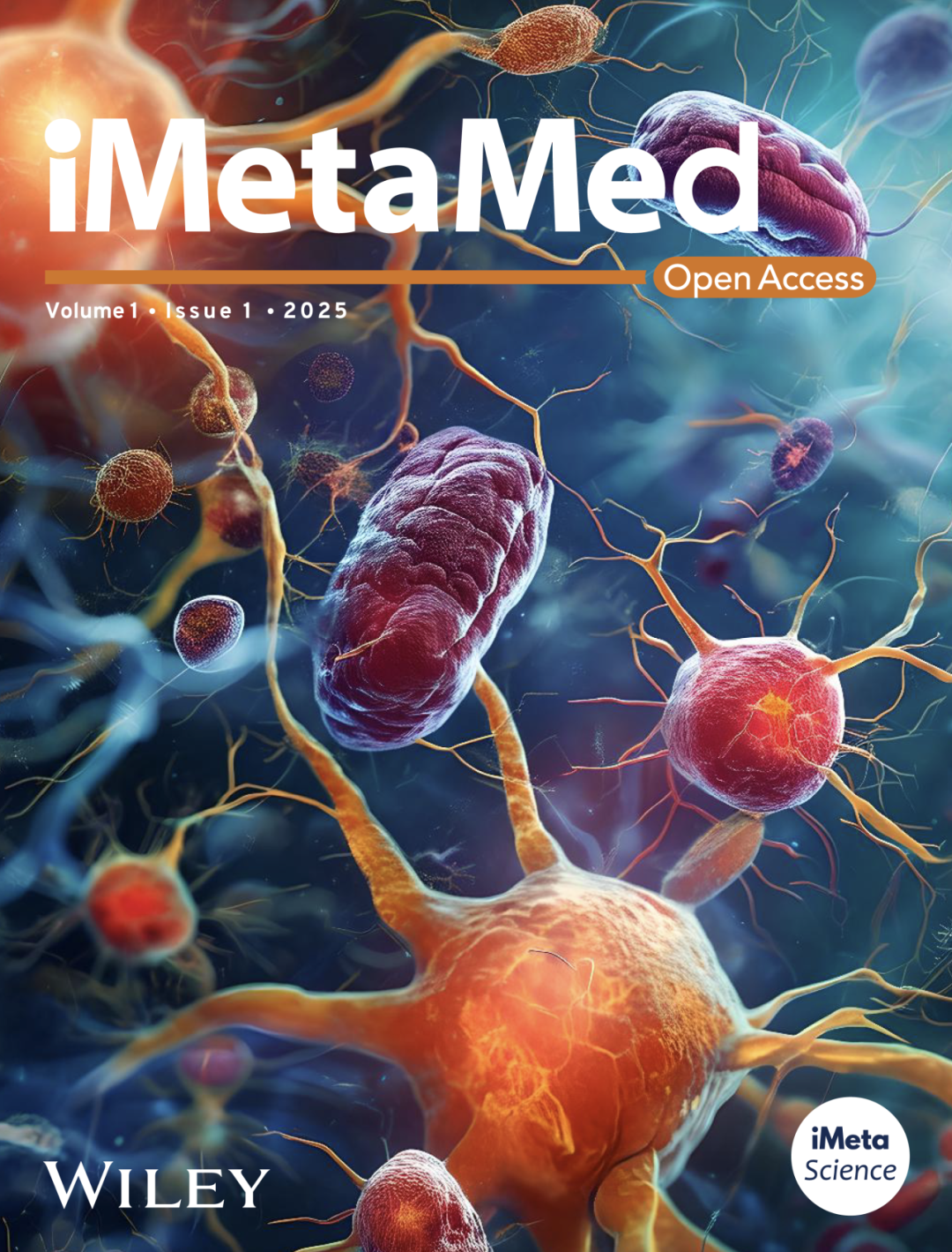 iMeta子刊iMetaMed期刊编委/副主编/顾问招募(定位IF＞15)-CSDN博客