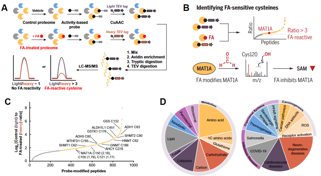 达吉特丨3篇Cell，2篇Nature，1篇Science： isoTOP-ABPP凭实力成为最易登上CNS的钓靶技术_abpp竞争质谱技术-CSDN博客