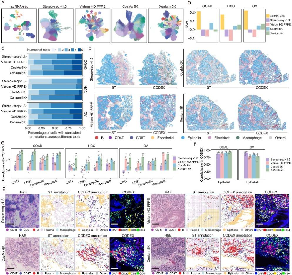 空间转录组平台终极 PK！各大平台全面测评-CSDN博客