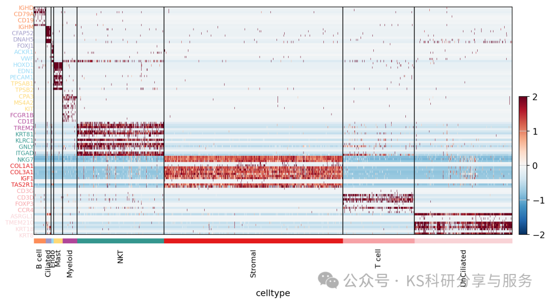 【视频-python一键函数】：热图标注特定基因及不同颜色设置展示marker基因_sc.pl.heatmap-CSDN博客
