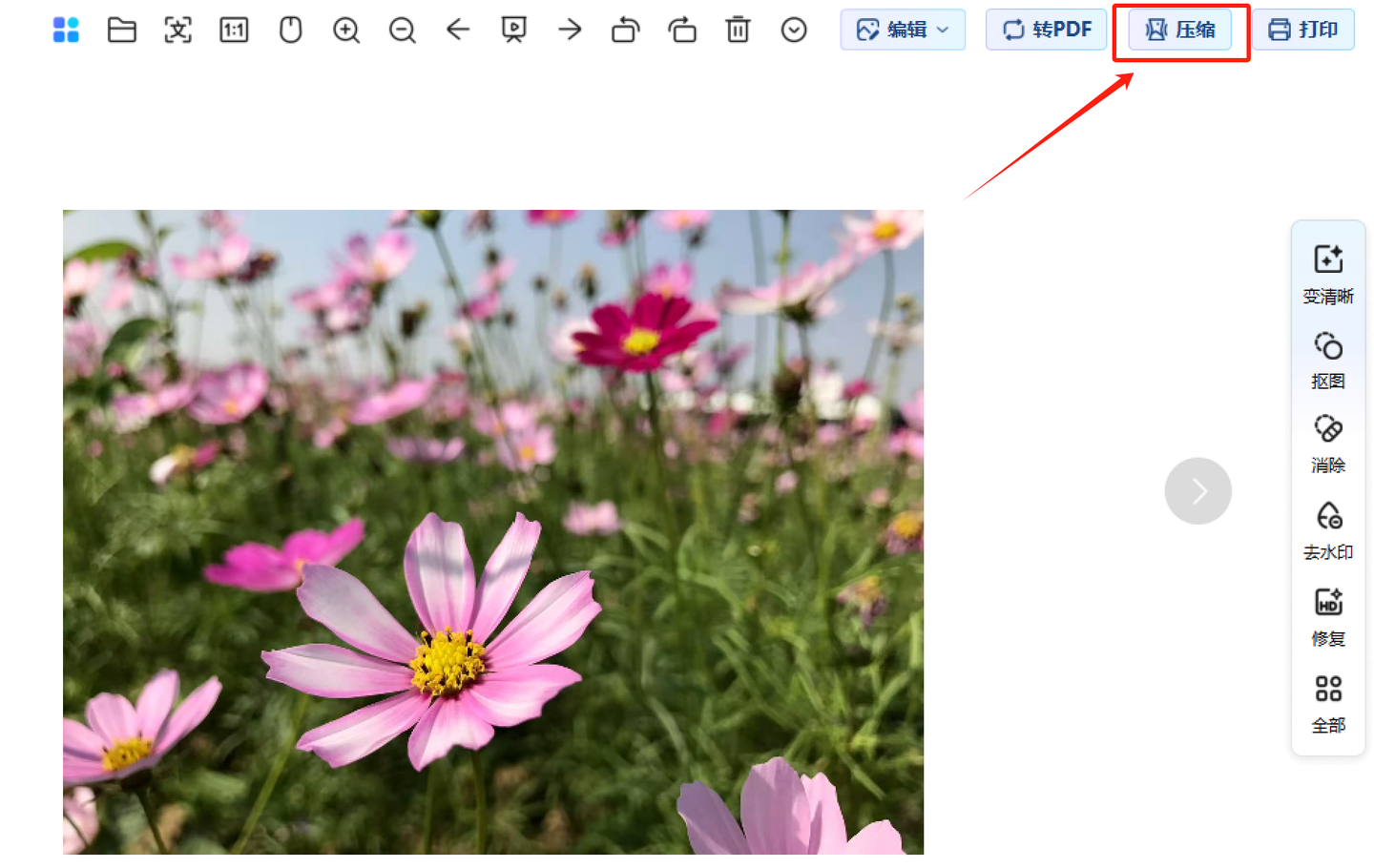 如何修改照片大小KB？4种高效图片压缩方法，完美解决各类上传限制_如何缩小图片大小kb-CSDN博客