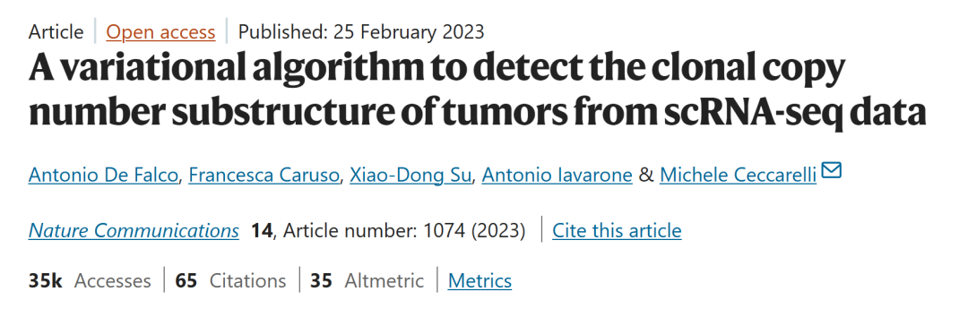 《NC》| SCEVAN:从scRNA-seq中检测肿瘤克隆拷贝数亚结构-CSDN博客