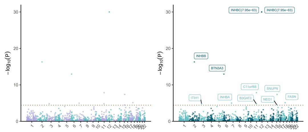 MicrobiomeStatPlots | 曼哈顿图教程Manhattan plot tutorial-CSDN博客