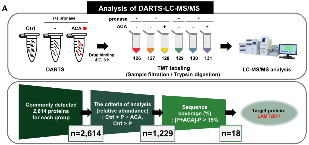 一文了解药物靶点筛选之DARTS技术-CSDN博客