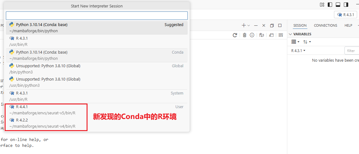 Positron秘技：会话保持与Conda R环境切换_positron切换 r-CSDN博客