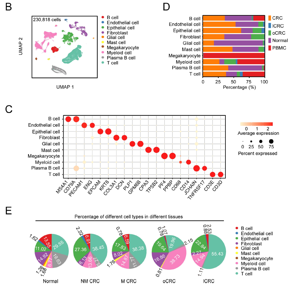 GUT (IF: 23.0) | 单细胞+空间转录组破译结直肠癌异质肿瘤干细胞器官特异性转移机制_结肠癌转移 干性 单细胞测序-CSDN博客