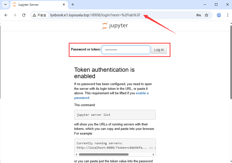 本地部署交互式计算平台 JupyterLab 并实现外部访问_jupyterlab 外部访问-CSDN博客
