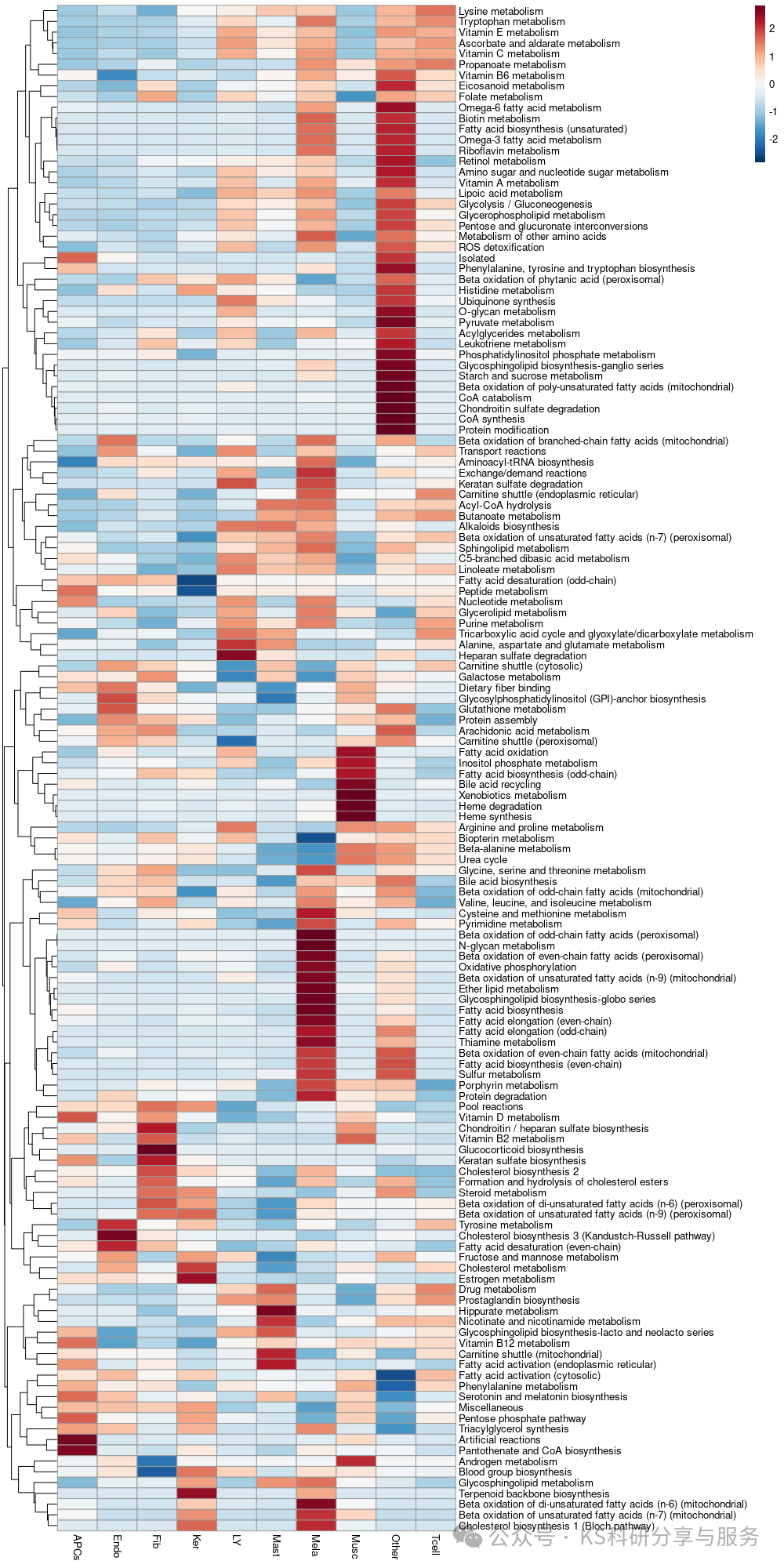单细胞转录组代谢相关分析KS合集_ks科研分享与服务 代码打包合集-CSDN博客