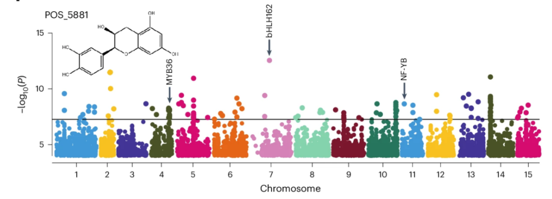 GWAS之后如何进行mGWAS分析？如何准备样本？-CSDN博客